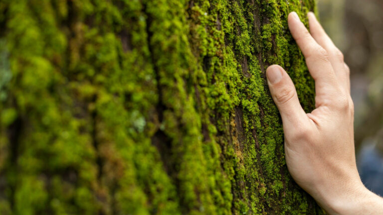 Interdependencia con la naturaleza: Cómo hacela menos negativa